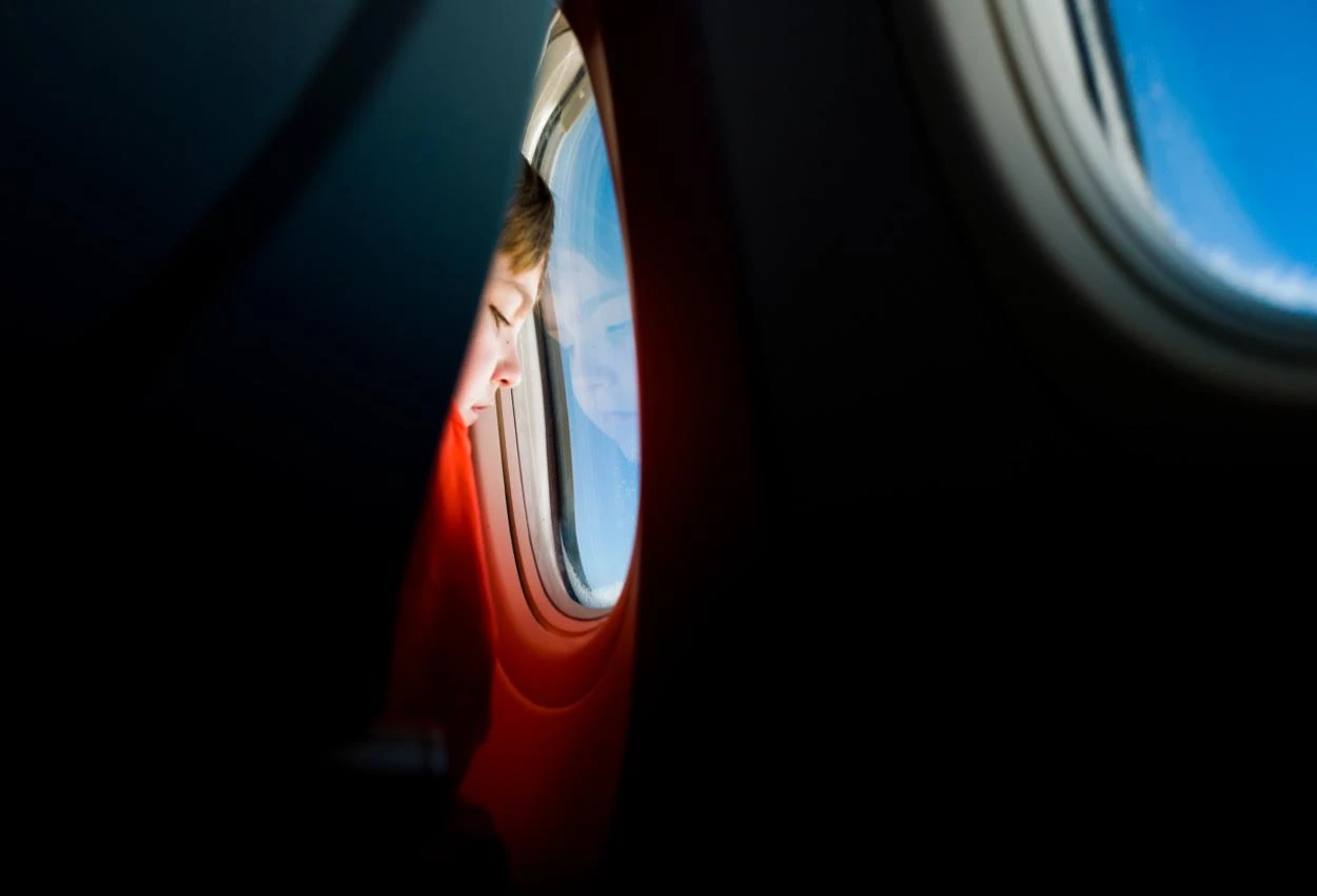 Social Cohesion Insights 05: Support for immigration - The Scanlon ...